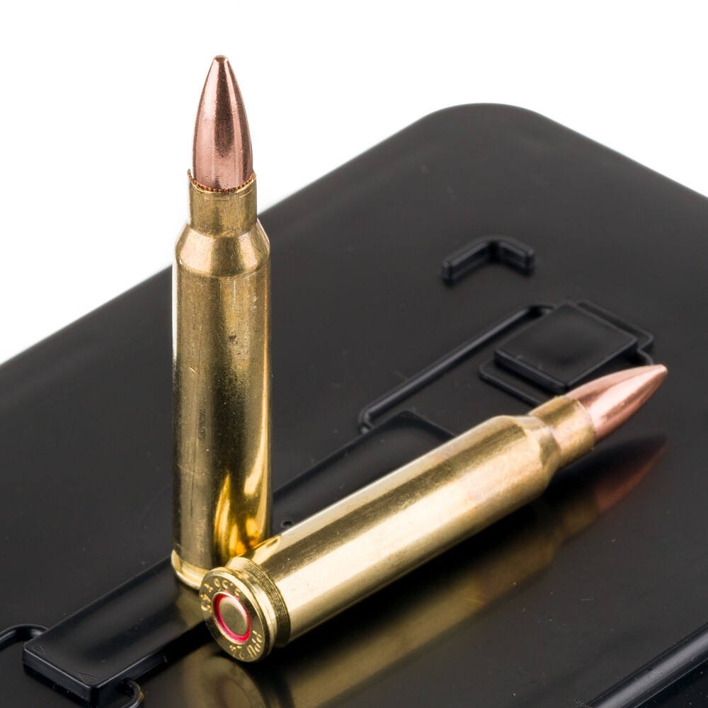 Prvi Partizan Rangemaster 5.56 NATO Ammunition 125 Rounds M193 FMJ-BT 55 Grain [FC-8605003820635]