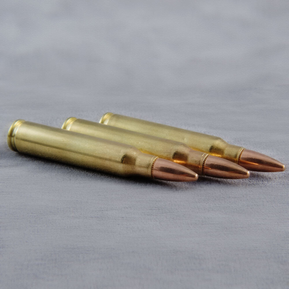 Remington UMC Mega Pack .223 Rem Ammunition 55 Grain FMJ 3240 fps [FC ...