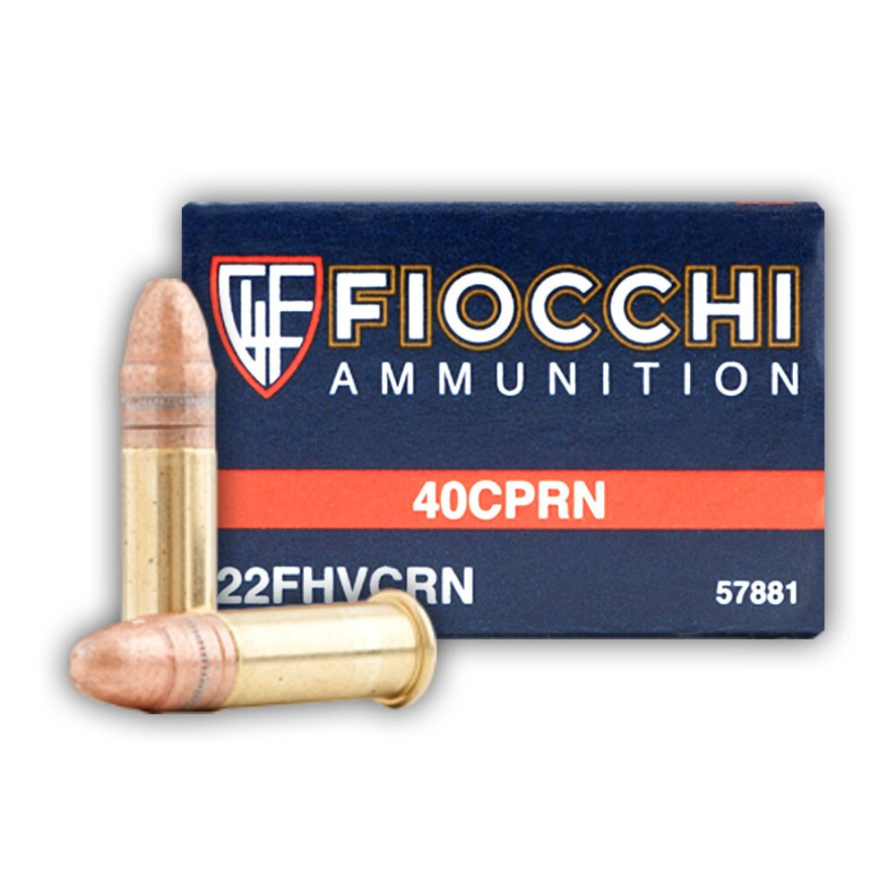 Fiocchi Hi Velocity .22LR Ammunition 500 Rounds Plated LRN 40 Grain [FC ...