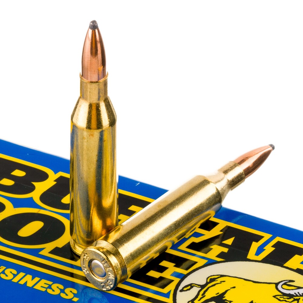 Buffalo Bore .243 Winchester Ammunition 20 Rounds SP 100 Grain [FC ...
