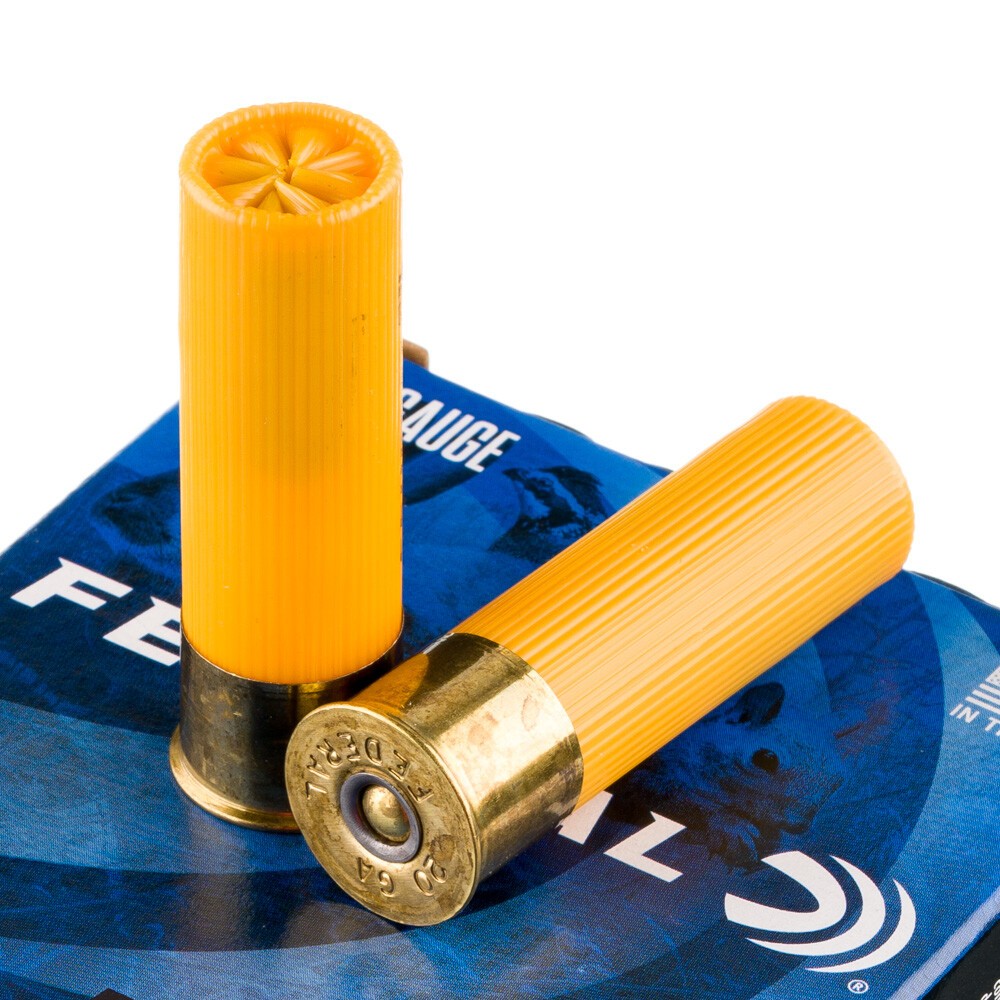 Federal 20 Gauge Shotshell 250 Rounds 2-3/4" #6 Shot 7/8 Ounce [FC ...