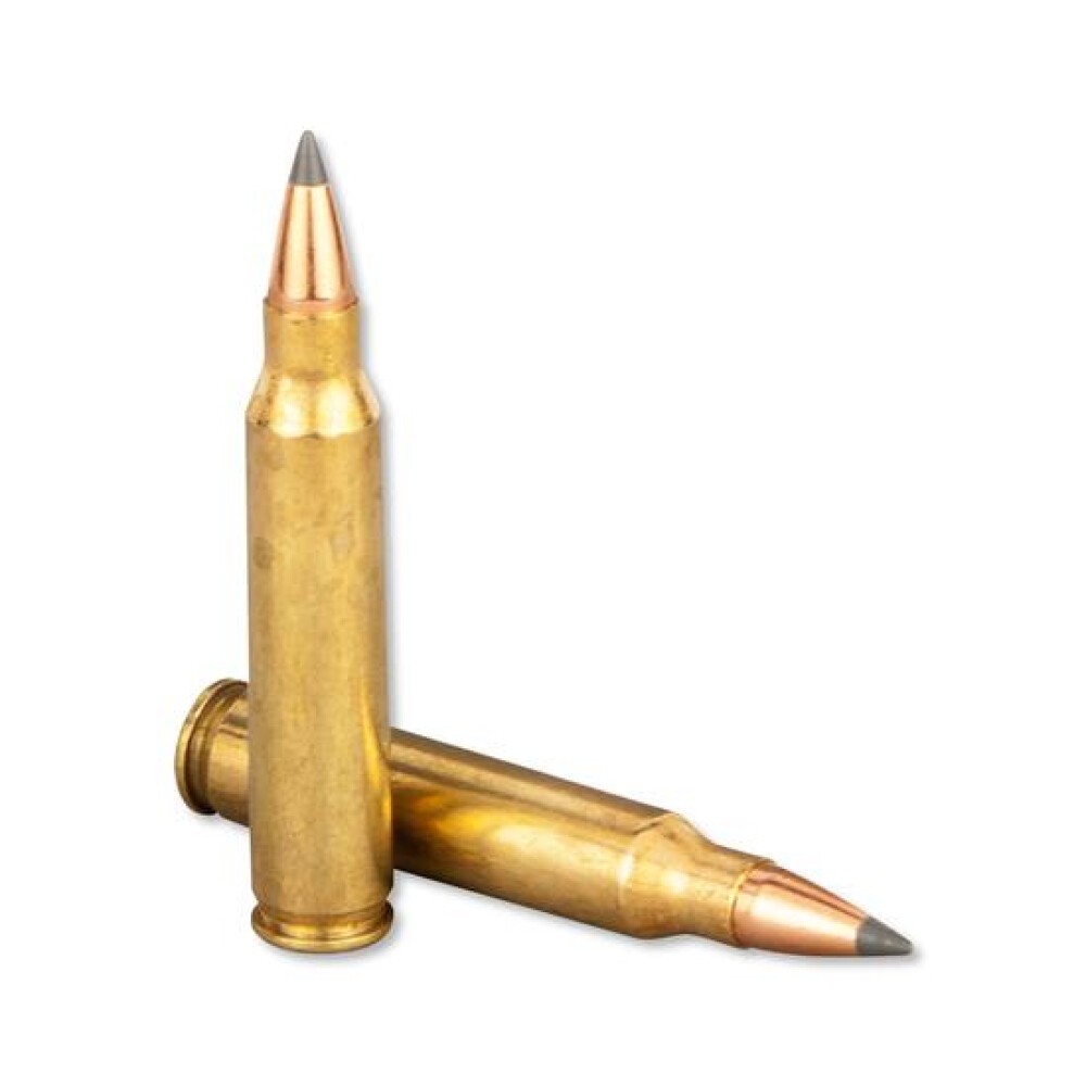 Ammo .223 Rem Federal American Eagle 50 Grain Polymer Tip Bullet 3325 ...