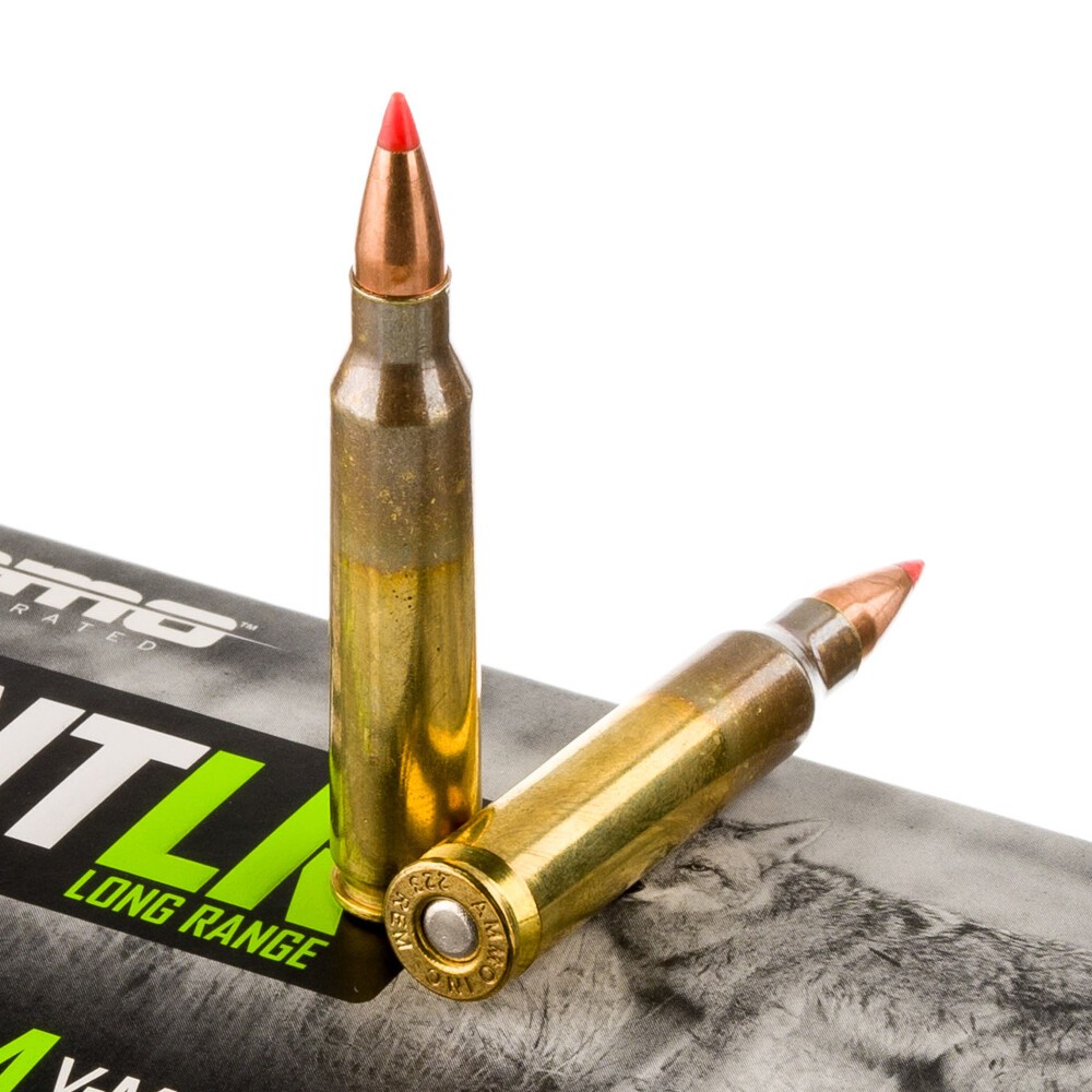 Ammo Inc. .223 Rem V-Max Ammo - 60 Grain, 20 Rounds [FC-818778021284]