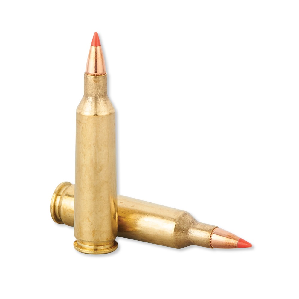 Hornady Varmint Express .22-250 Remington Ammunition 20 Rounds 55 Grain ...