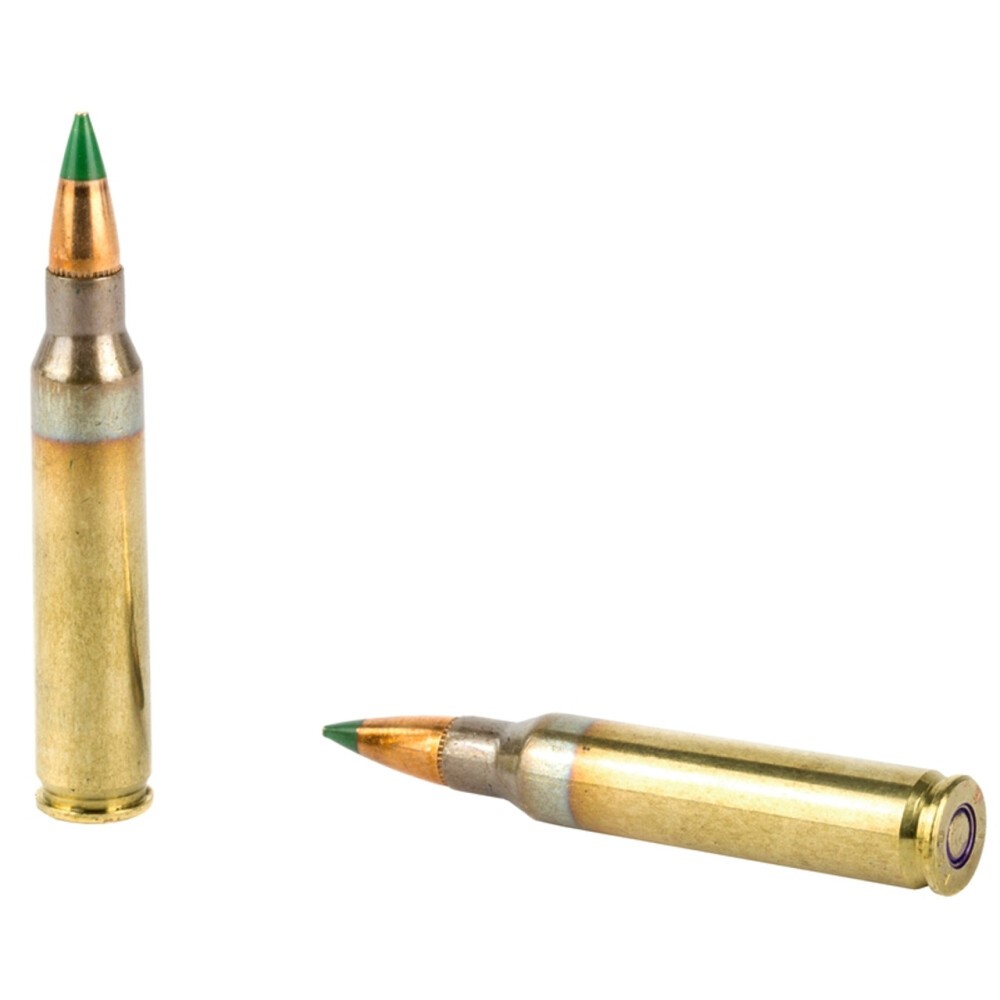 Winchester Lake City 5.56 NATO Ammunition 200 Rounds M855 FMJ 62 Grain ...