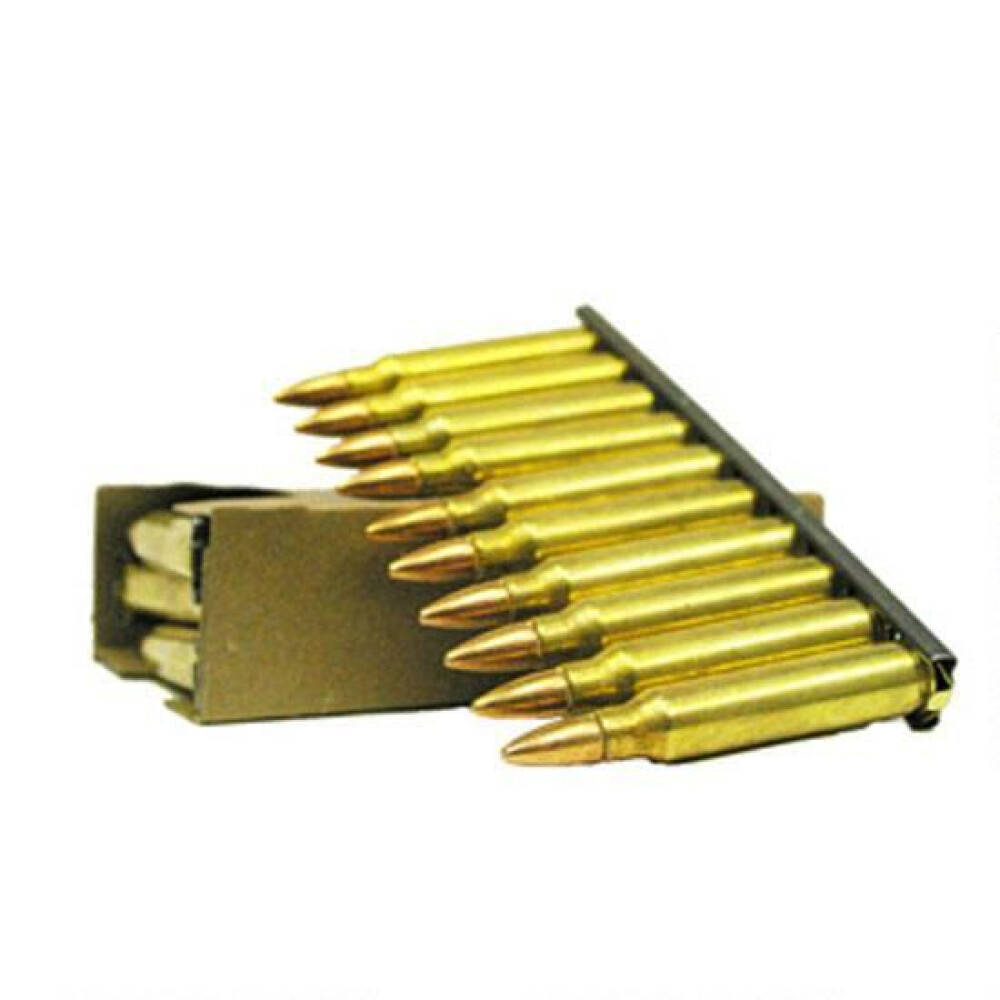Federal American Eagle .223 Rem Ammunition on Stripper Clips 55 Grain ...