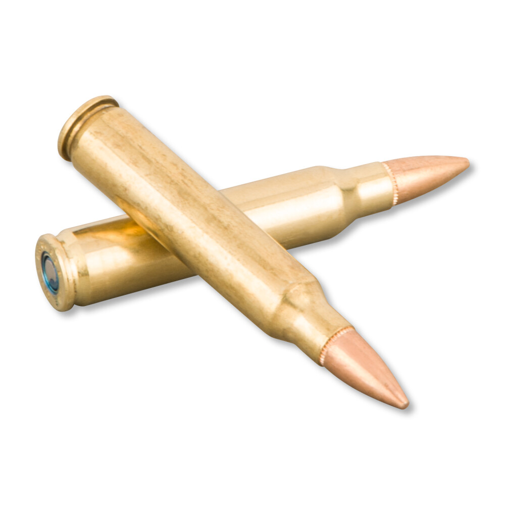 Federal American Eagle .223 Rem Ammunition 20 Rounds 55 Grain FMJBT ...