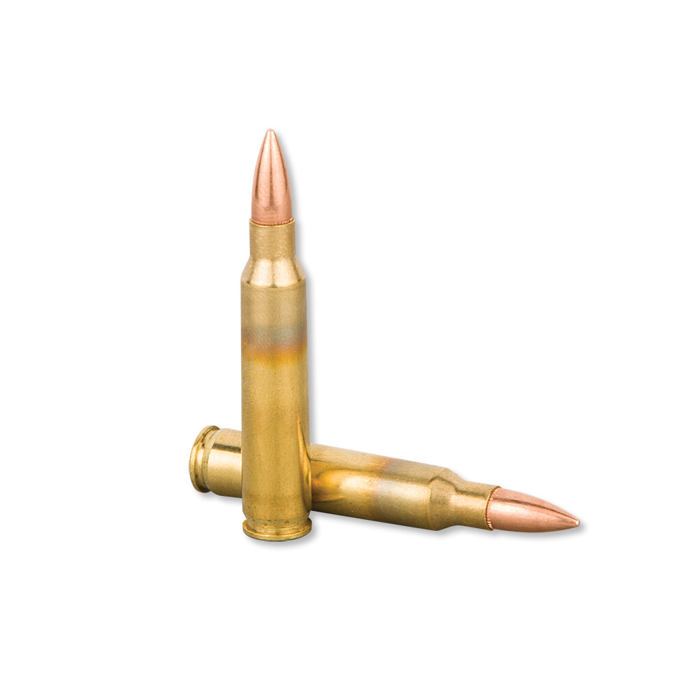 Armscor USA .223 Rem Ammunition 20 Rounds 62 Grain FMJ 3050 fps [FC ...