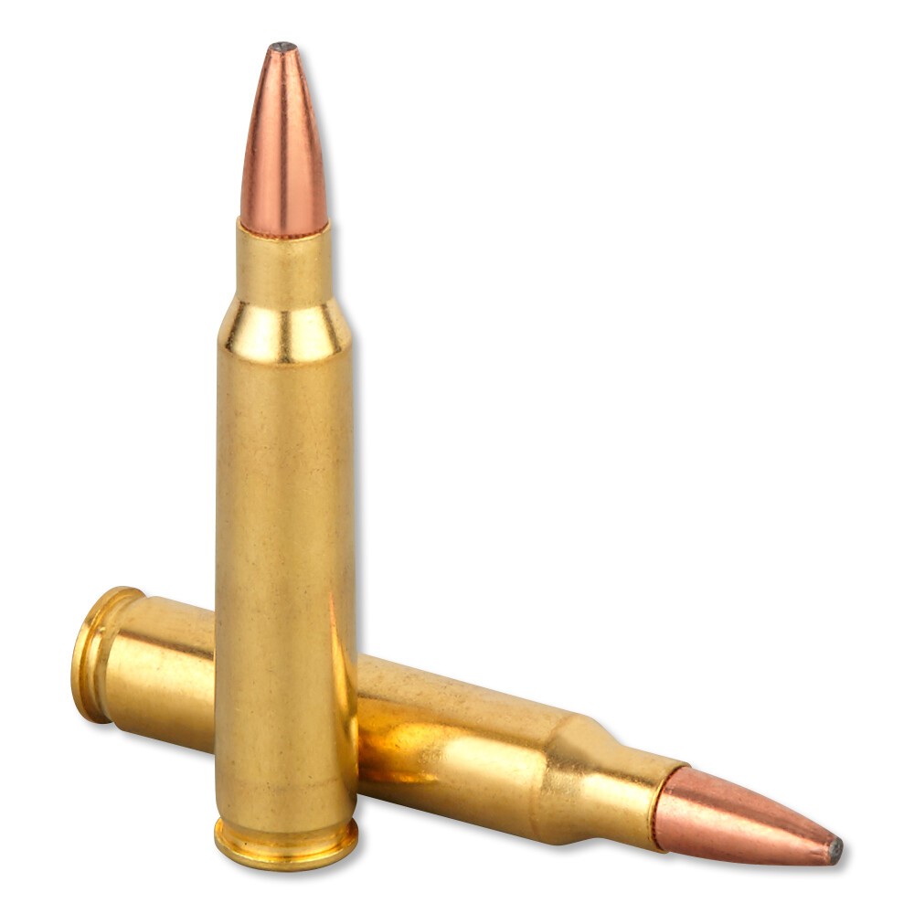 Armscor USA .223 Rem Bonded SP Ammo 1000 Rounds [100812285021904]