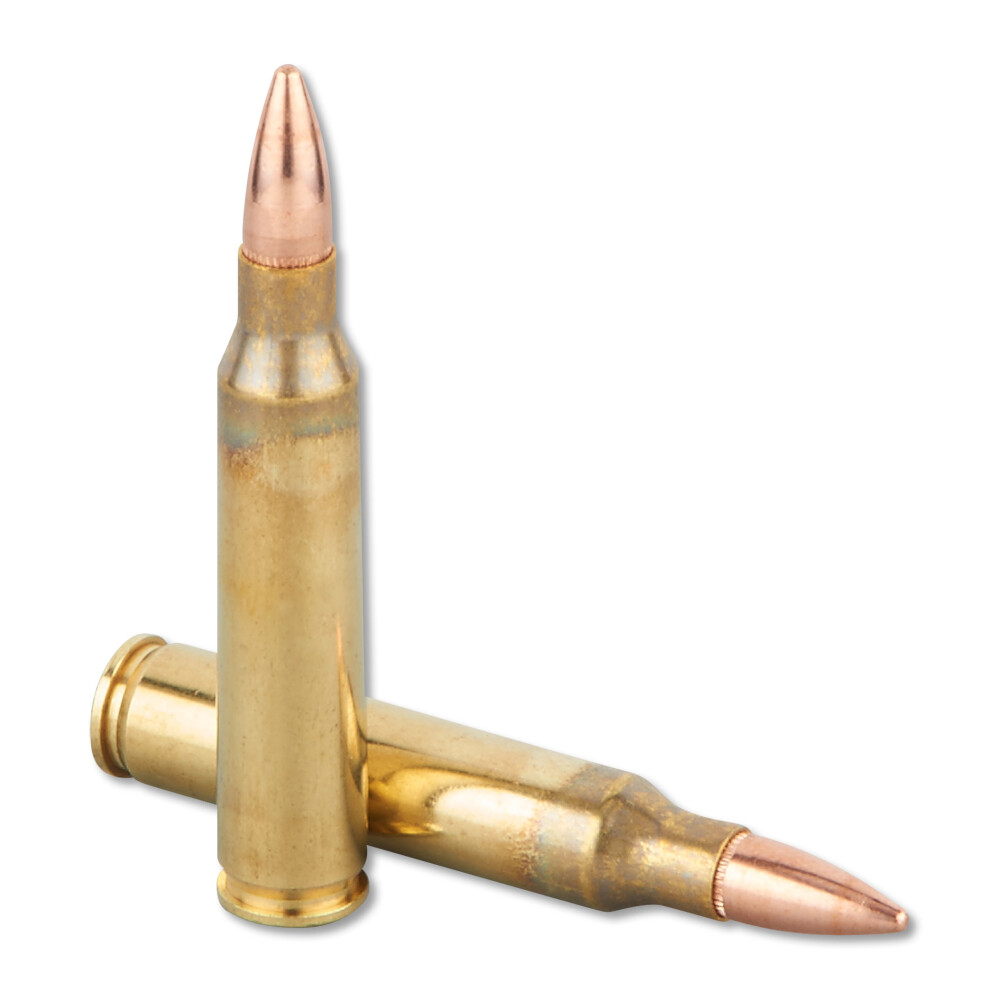 Fiocchi Range Dynamics 223 Remington Ammunition 50 Rounds FMJ-BT 62 ...