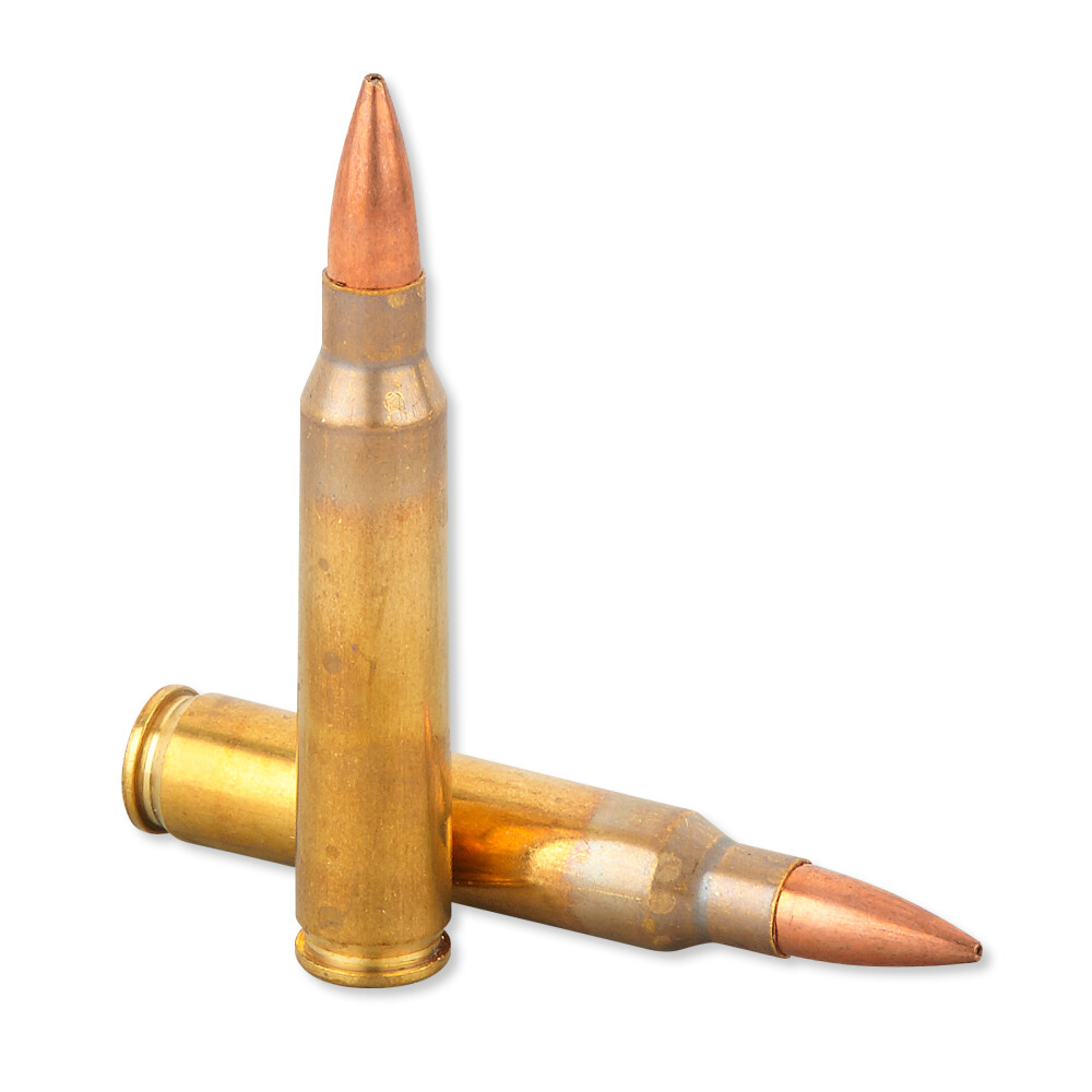 Fiocchi Exacta Match .223 Remington Ammunition 200 Rounds MatchKing ...