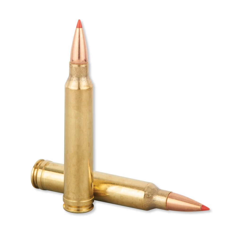 Hornady Superformance .300 Win Mag 20rds SST 180gr [FC-90255821932]
