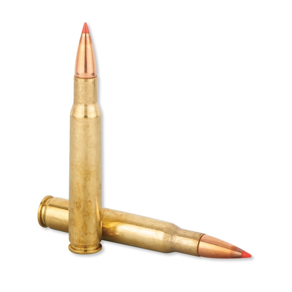 Hornady Custom Lite .30-06 125gr SST 20rds [FC-90255810660]