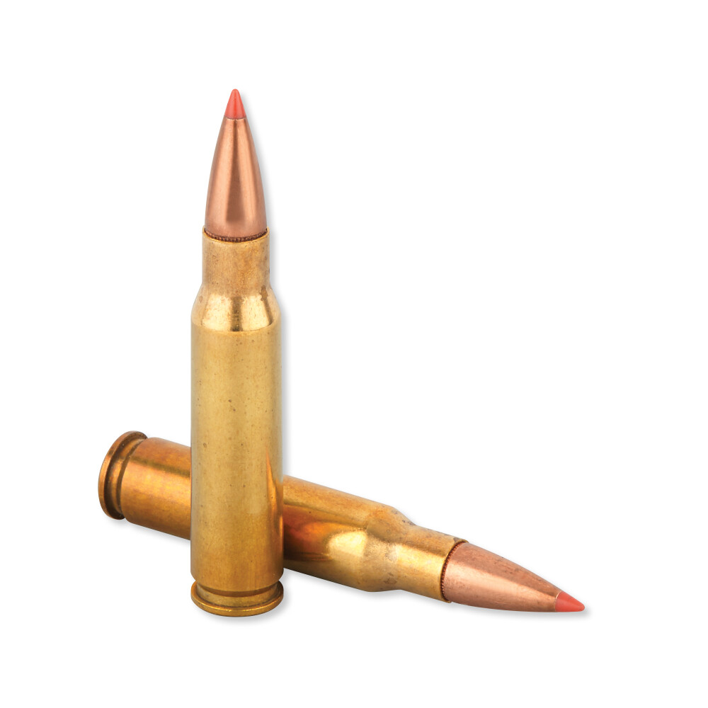 Fiocchi .308 Win Ammo 180 Gr Hornady SST Polymer Tip BT 200 Round Case ...